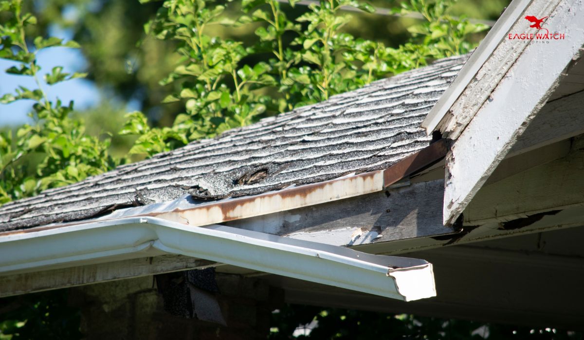 How Faulty Gutters Affect Your Roof - Eagle Watch Roofing