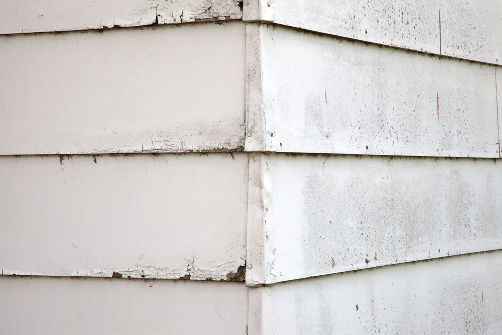Is My Siding Affected By My Roof? – Eagle Watch Roofing